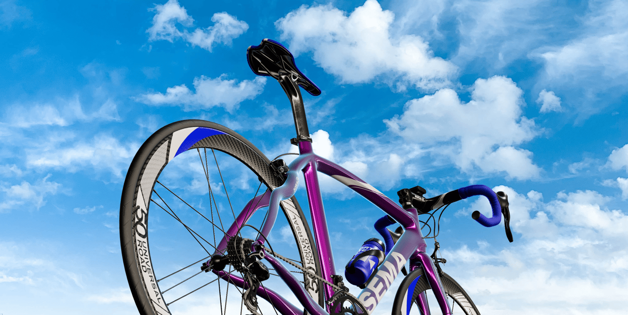 ProVisual — Road Universal Bicycle 3D mockup and 3D model - see every ...